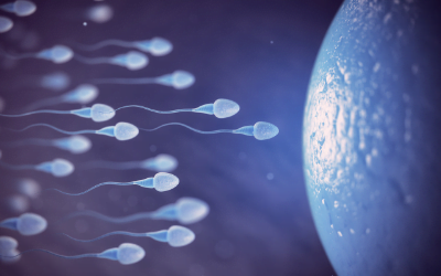 Kako znate da je spermogram dobar? - Link4MED