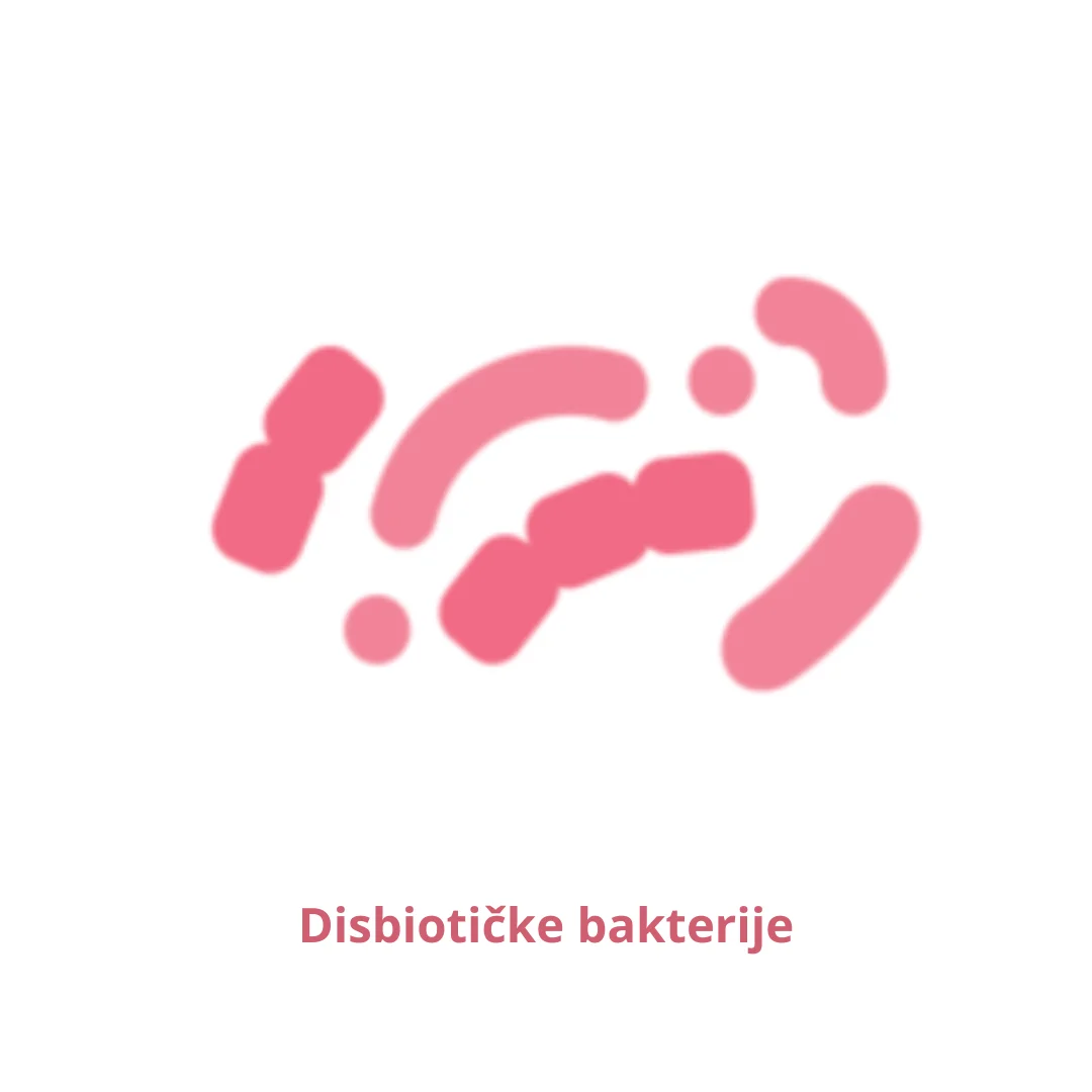 Da li zdrav mikrobiom endometrijuma znači zagarantovan uspeh